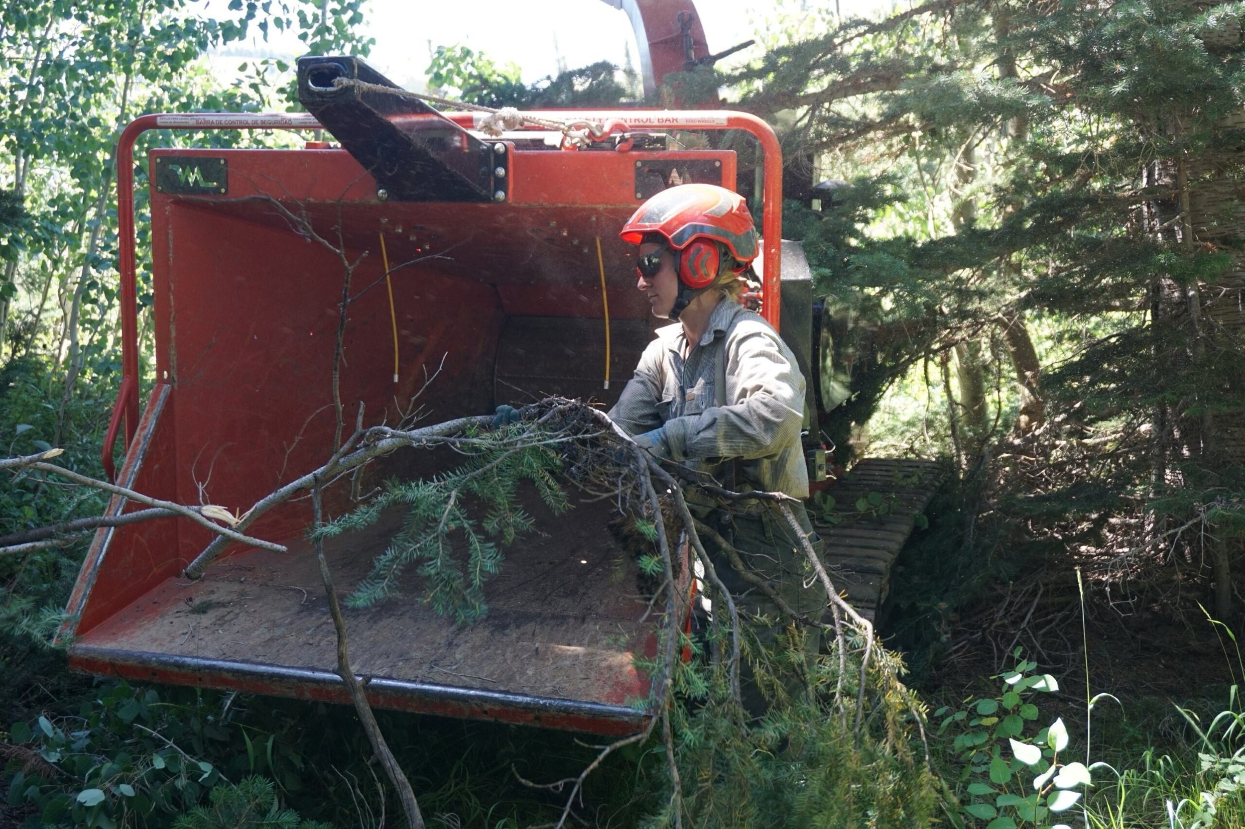 Forestry Equipment Operations & Chipping — Alpine Forestry Utah